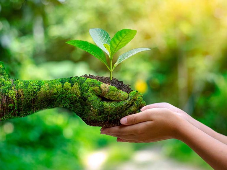 Collaborative Approaches to Biodiversity Conservation - Citizen Science ...